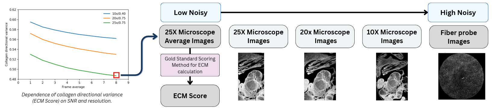 Estimation of ECM Signatures in Fiber Probe Images | Eshan Surendra